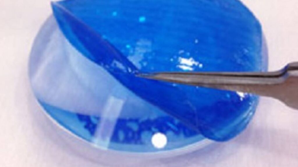 Shine a Light on Protection: Light Curable Peelable Masks for Surface ...